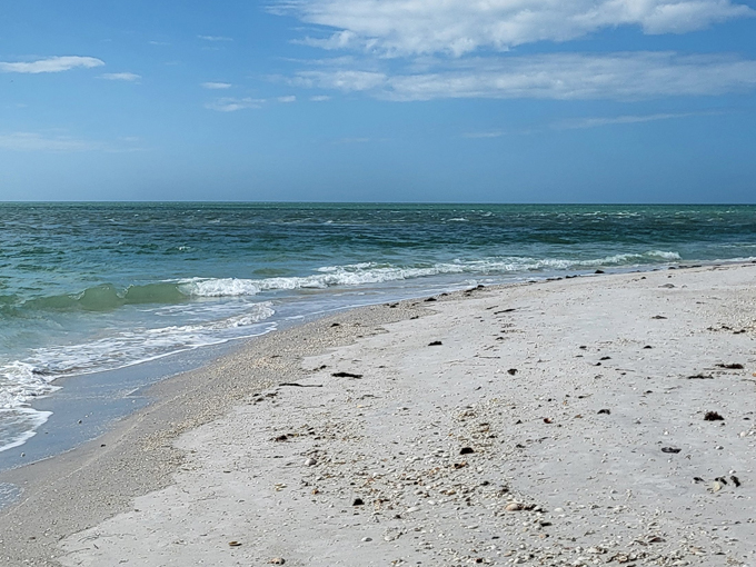 cayo costa state park 6