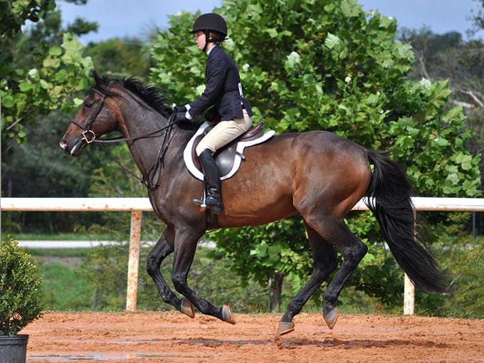 clarcona horsemans park 3