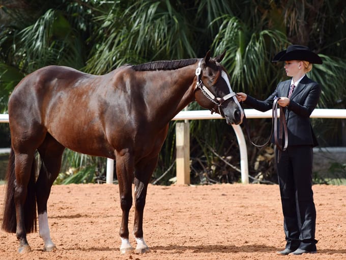 clarcona horsemans park 9