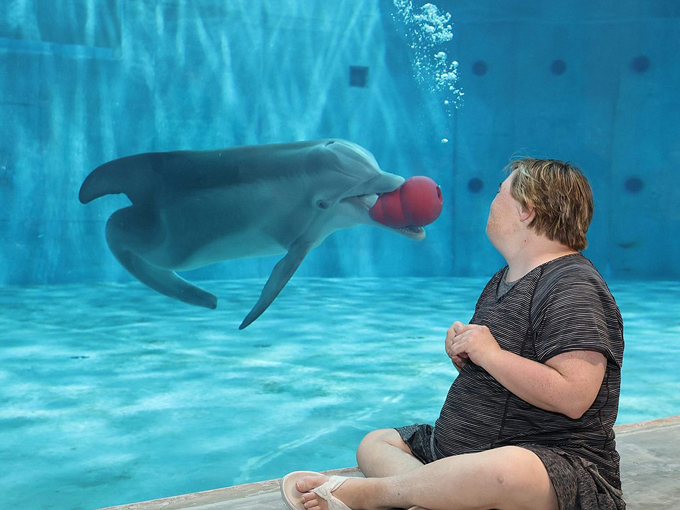 clearwater marine aquarium 9