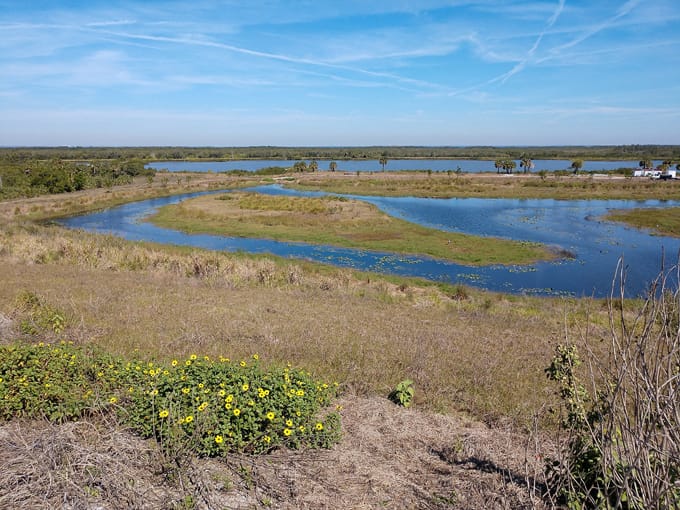 cockroach bay preserve state park 1