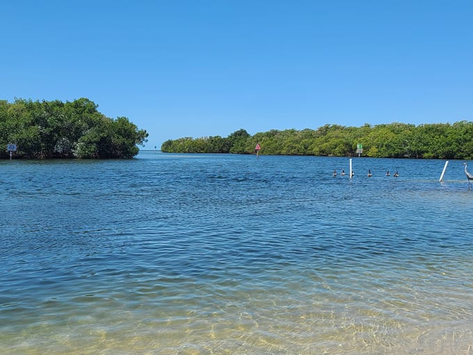 cockroach bay preserve state park 2