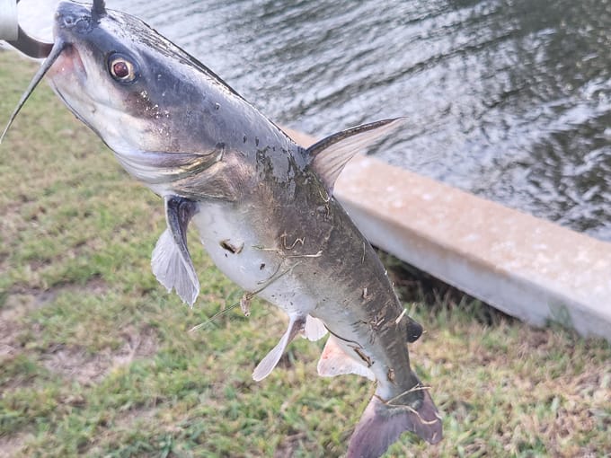 cockroach bay preserve state park 5