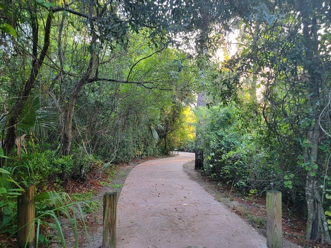 colby alderman park 4