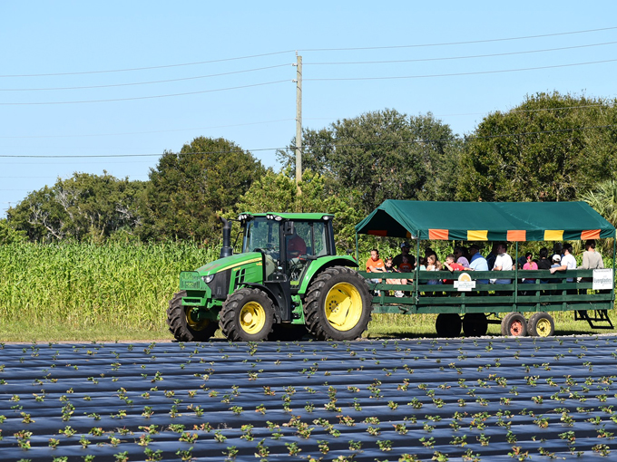 countryside family farms 4
