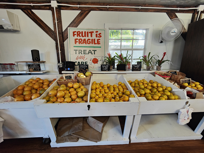 countryside family farms 9