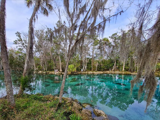 crystal river archaeological state park 6