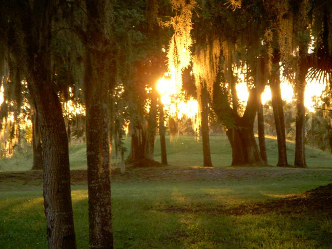 crystal river archaeological state park 9