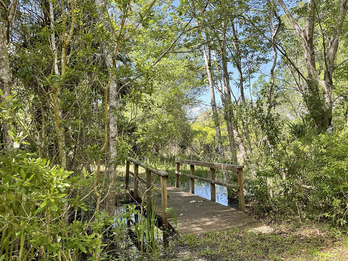 crystal river preserve state park 3