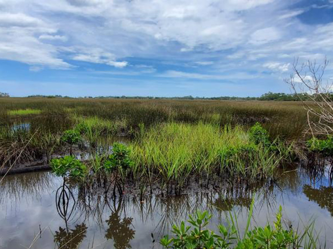 crystal river preserve state park 4