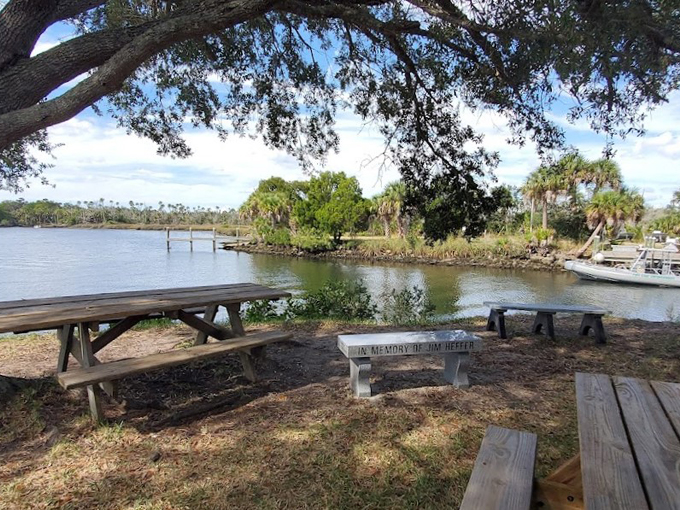 crystal river preserve state park 8