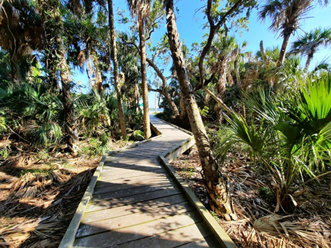 crystal river preserve state park 9