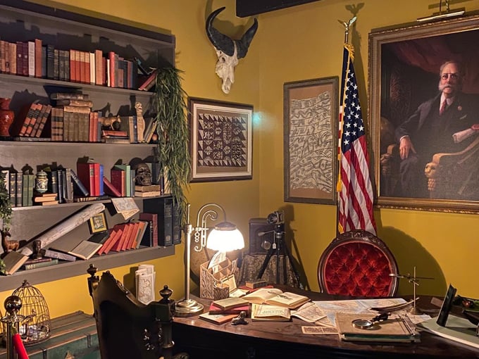 darwin and wallace a nature fossil store 4