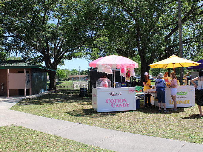 deland outdoor art festival 8