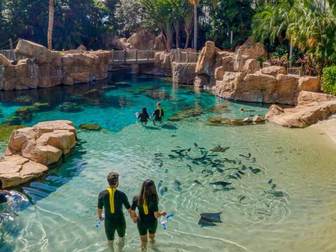 discovery cove orlando 1
