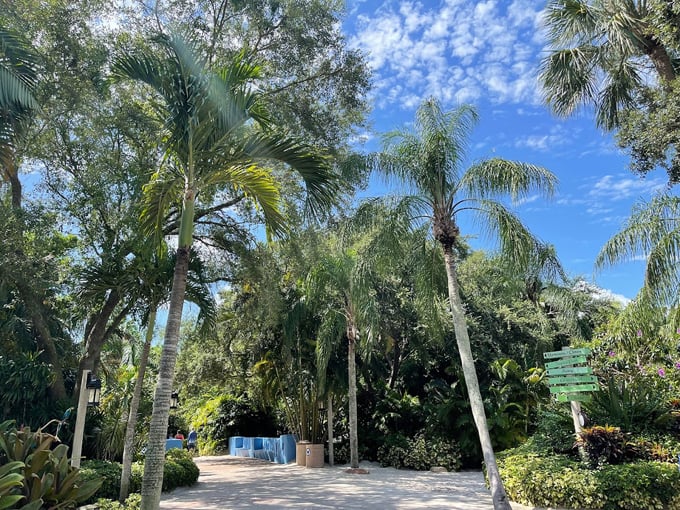 discovery cove orlando 4