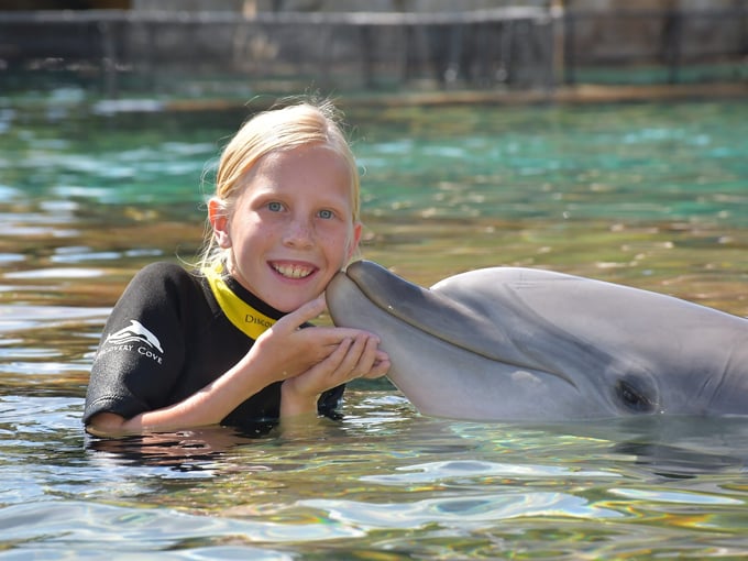 discovery cove orlando 6