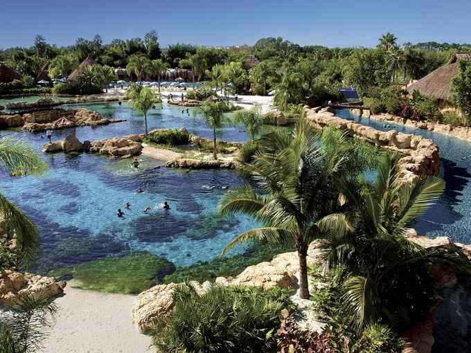 discovery cove orlando 8