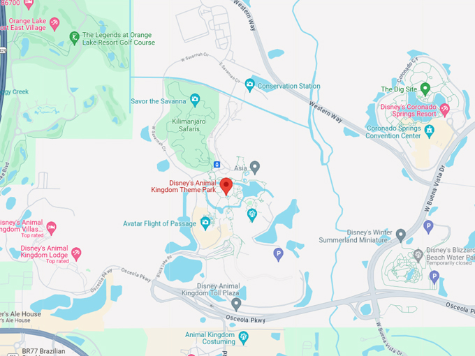 disneys animal kingdom theme park 10 map