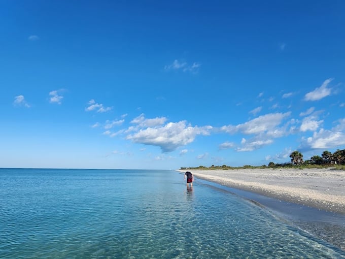 don pedro island state park 2
