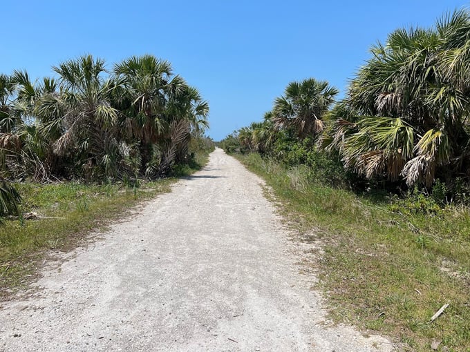 don pedro island state park 3