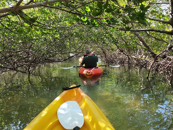 don pedro island state park 6