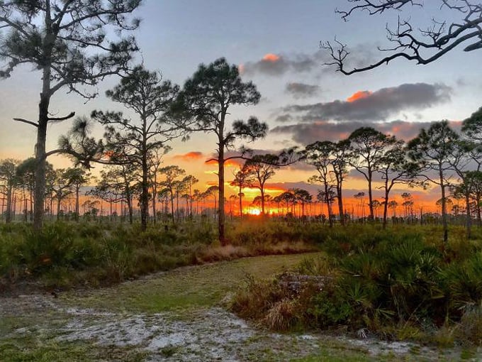 don pedro island state park 9