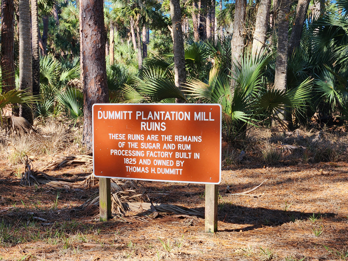 dummett sugar mill ruins 2