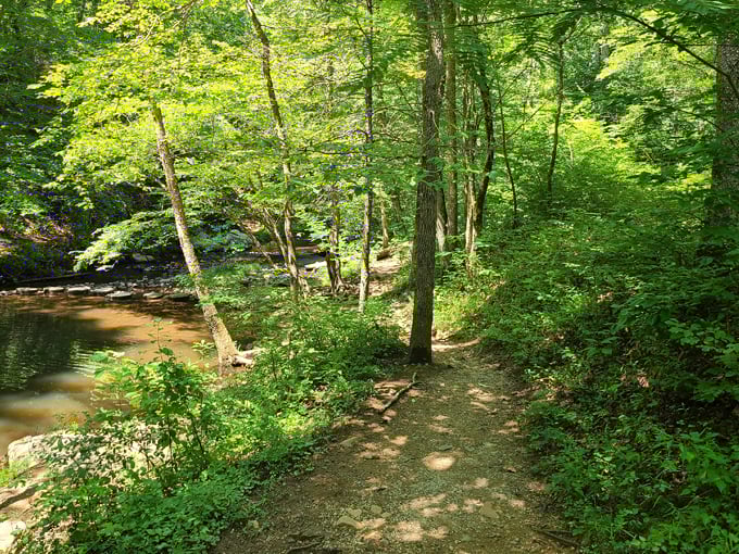 dummett sugar mill ruins 7
