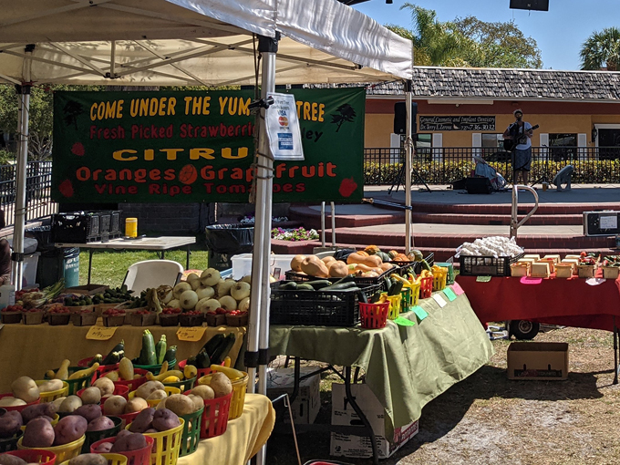 dunedin downtown market 3