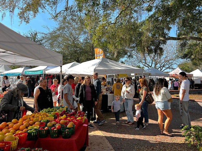 dunedin downtown market 8
