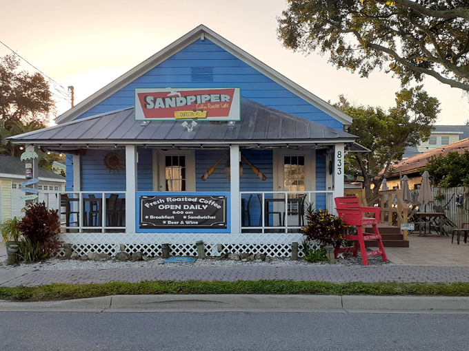 dunedin downtown market 9