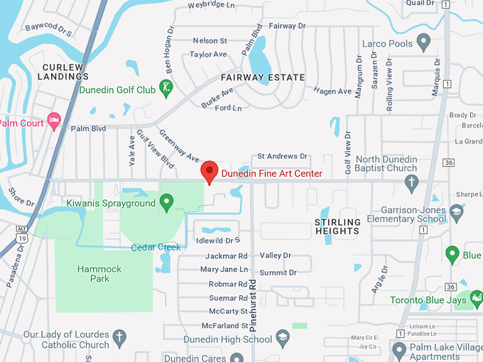 dunedin fine art center 10 map