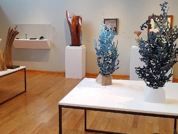 dunedin fine art center 5