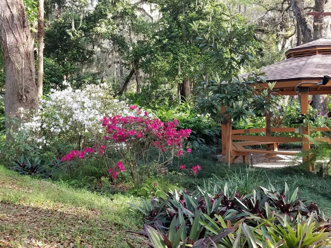 dunlawton sugar mill gardens 4