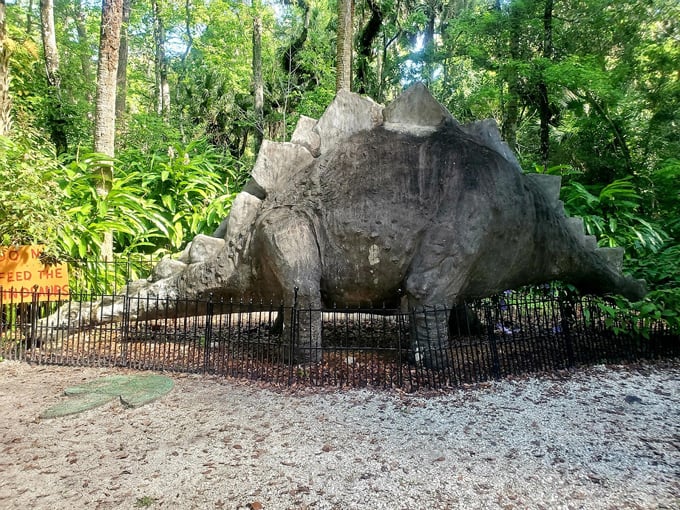 dunlawton sugar mill gardens 7