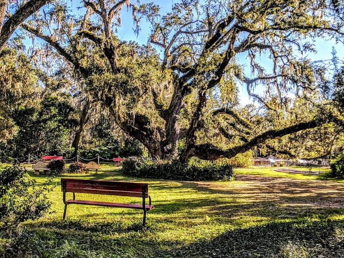 dunlawton sugar mill gardens 8