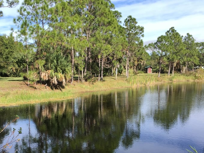 dupuis jr. wildlife and environmental area 1