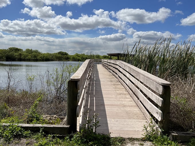 dupuis jr. wildlife and environmental area 2