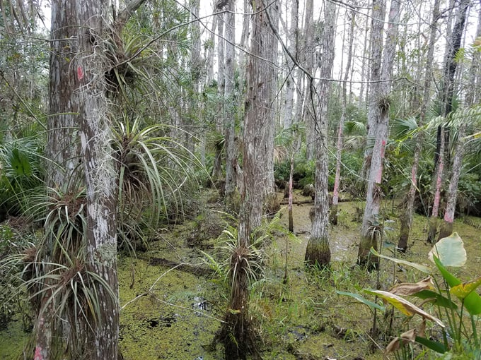 dupuis jr. wildlife and environmental area 3