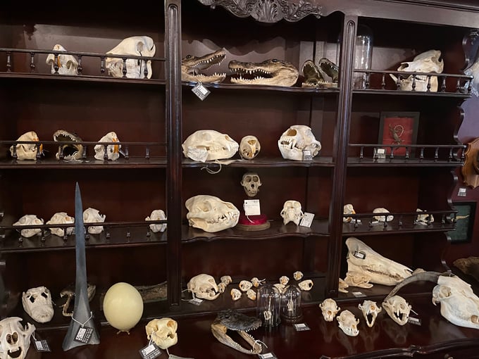 dysfunctional grace 2