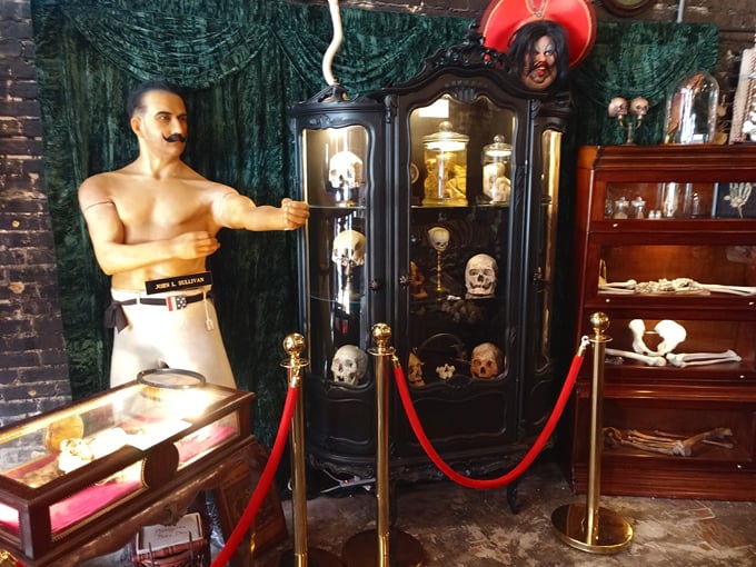 dysfunctional grace 3