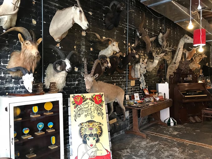 dysfunctional grace 4