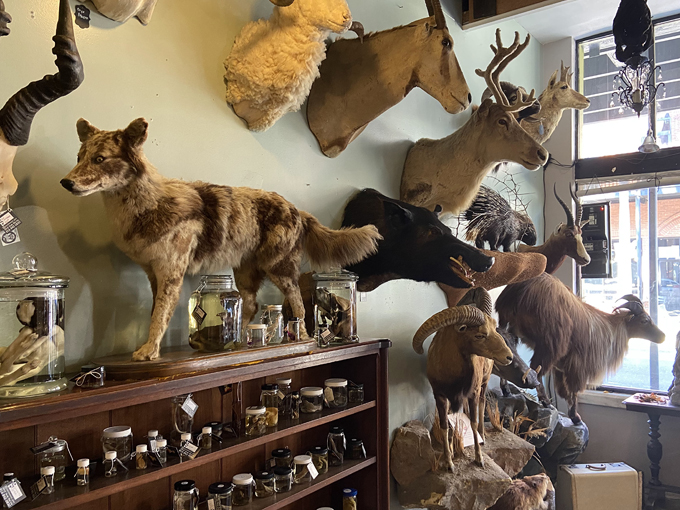 dysfunctional grace 5