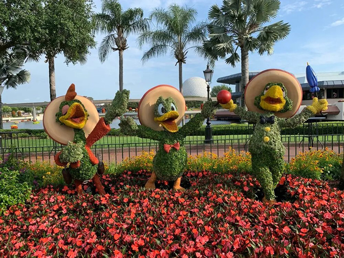 epcot international flower garden festival 2