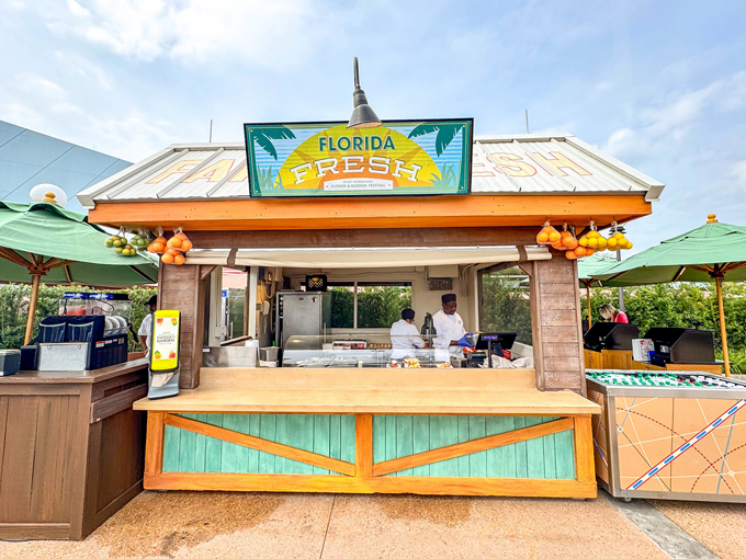 epcot international flower garden festival 6