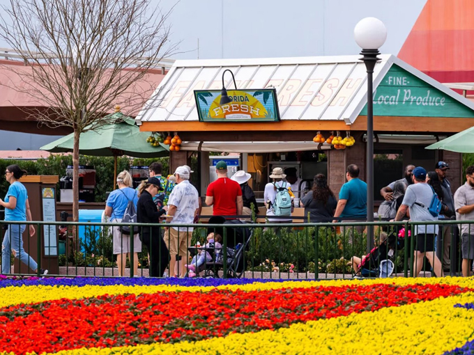 epcot international flower garden festival 7