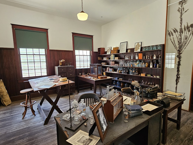 edison and ford winter estates 8