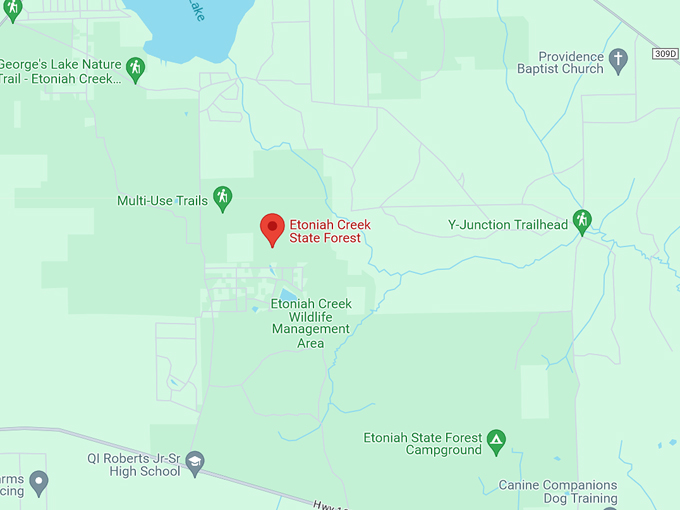 etoniah creek state forest 10 map