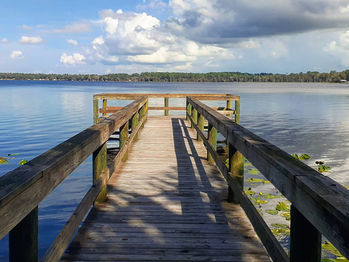 etoniah creek state forest 4